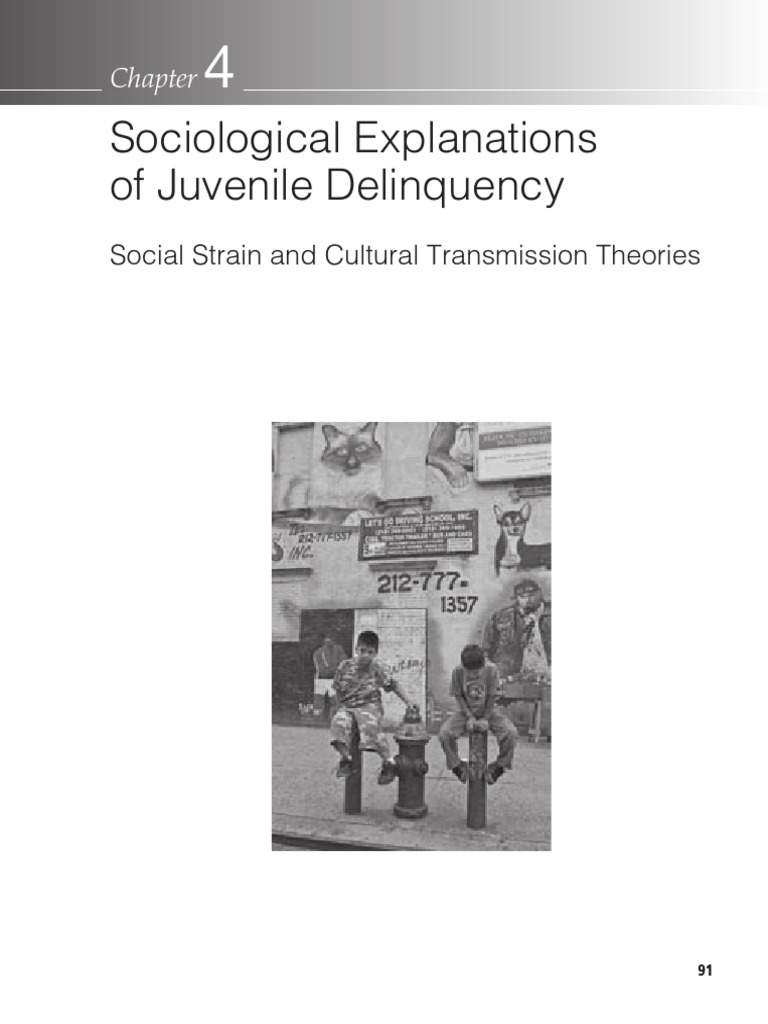 Sociological Theories of Juvenile Delinquency | PDF | Deviance ...