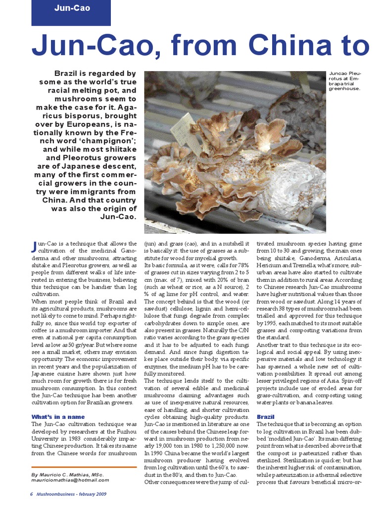 Juncao in Brazil | PDF | Agriculture | Food And Drink