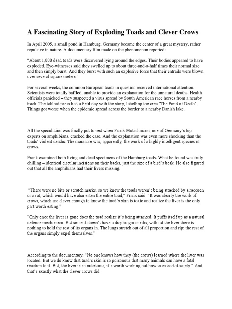 A Fascinating Story of Exploding Toads and Clever Crows | PDF | Nature ...