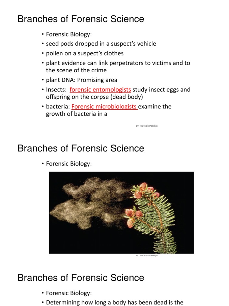 Branches of Forensic Science: Forensic Entomologists Forensic ...