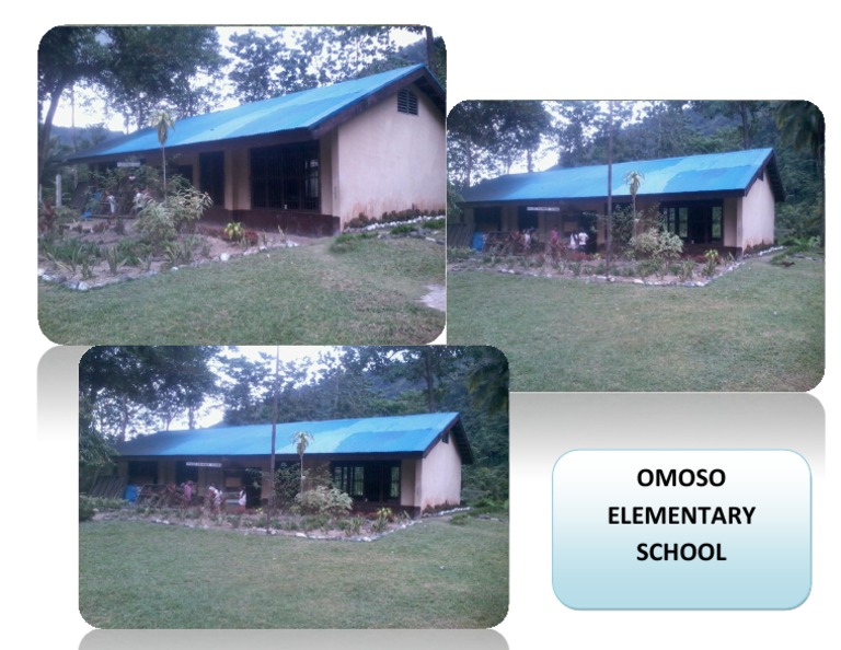 OMOSO Elementary School Overview | PDF