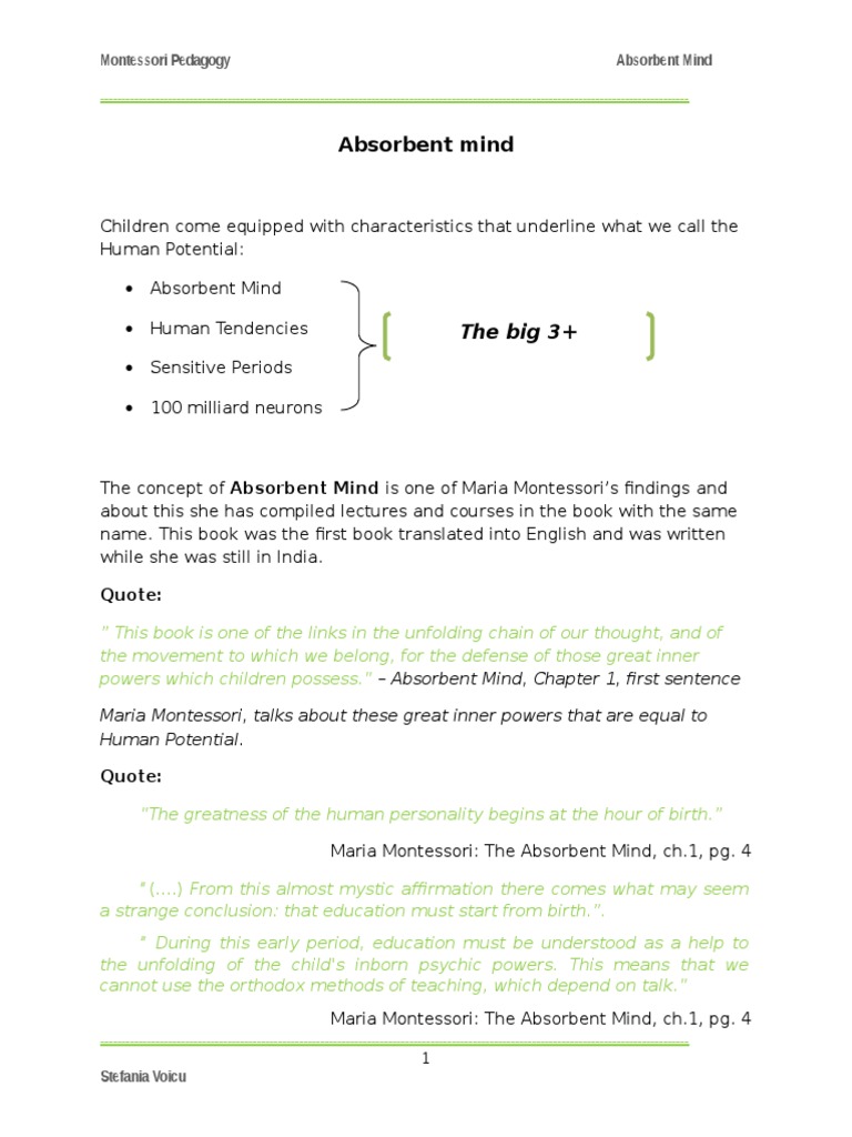 Montessori Pedagogy - Absorbent Mind | PDF | Montessori Education | Mind