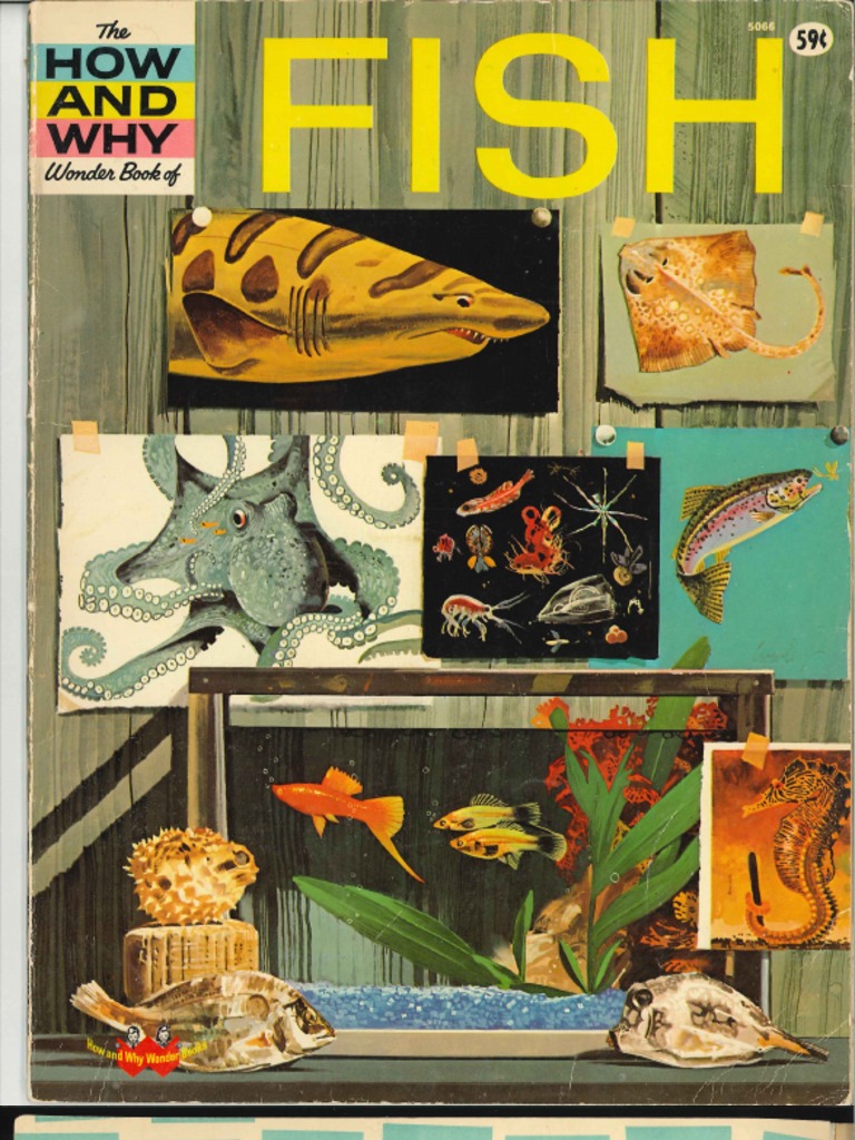 How and Wonder Book of Fish | PDF | Books