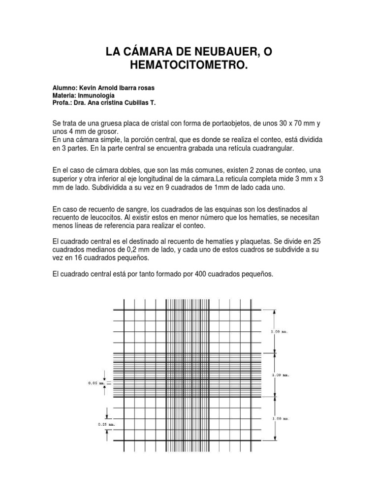 Cámara de Neubauer | PDF | Biología Celular) | Naturaleza