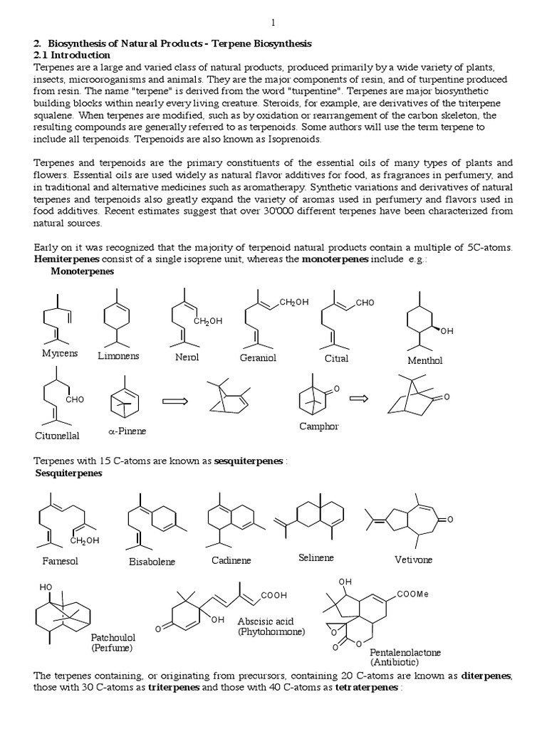 Biosintesis Of Terpenoid Pdf Chemistry Chemicals
