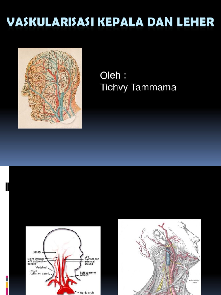 Vaskularisasi Kepala | PDF
