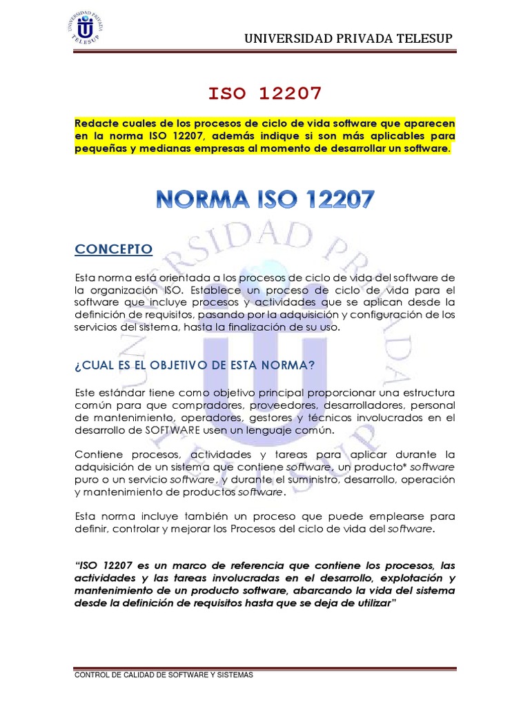 ISO-12207 | Proceso de desarrollo de software | Software