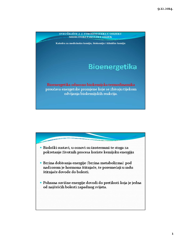 Bioenergetika | PDF