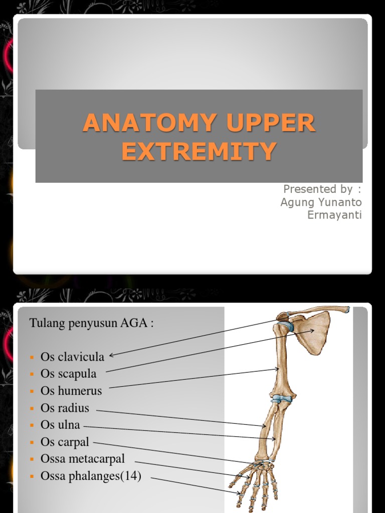 Anatomy Upper Extremity | PDF | Musculoskeletal System | Soft Tissue