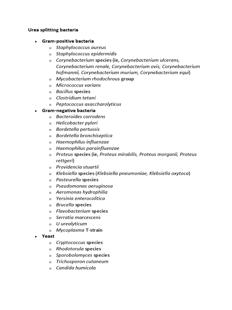 Urea Splitting Bacteria Overview | PDF
