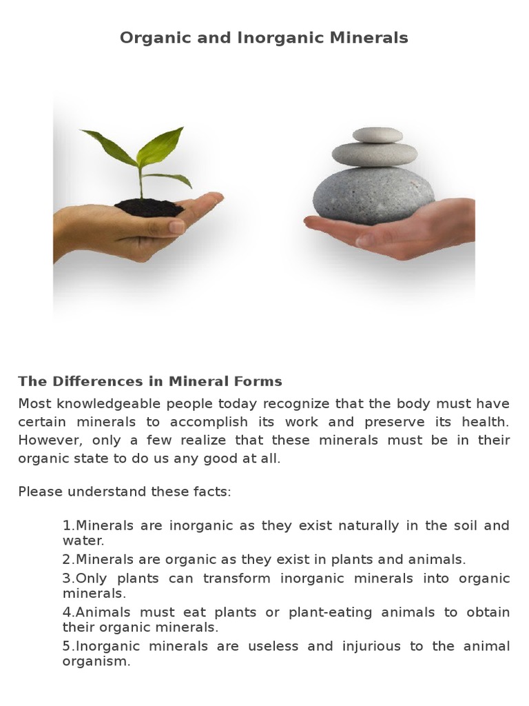 Organic and Inorganic Minerals | Water | Plants