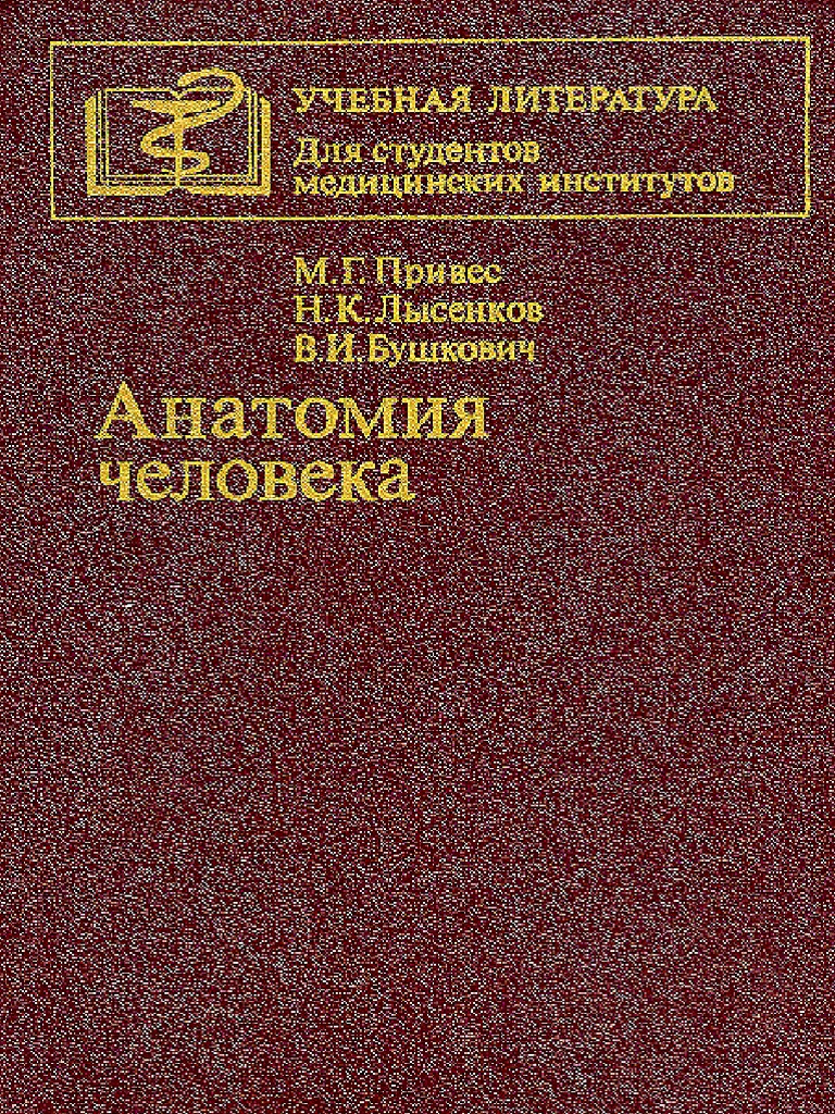 Prives - Anatomia Cheloveka | PDF