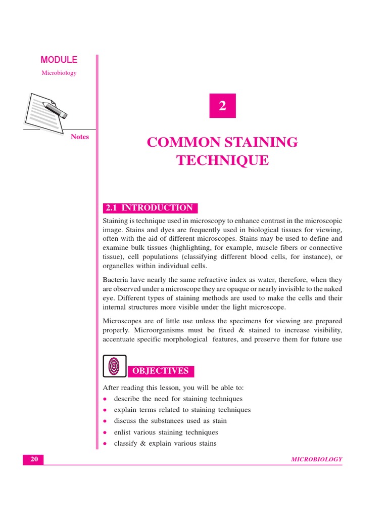 Lesson-02 COMMON STAINING TECH | PDF | Staining | Gram Positive Bacteria