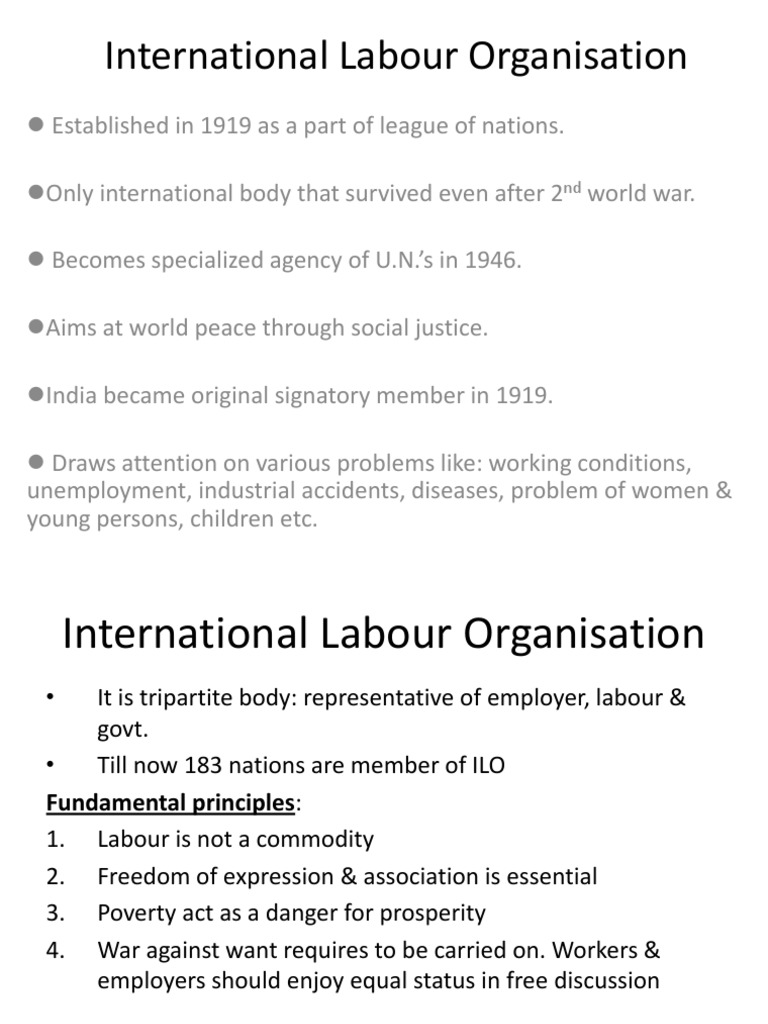 The Structure and Role of the International Labour Organisation in ...
