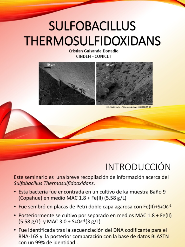 Sulfobacillus Thermosulfidooxidans | PDF | Microbiología | Química