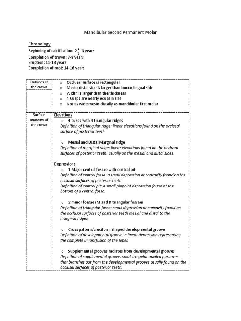Mandibular Second Molar Anatomy & Development | PDF | Foreign Language ...