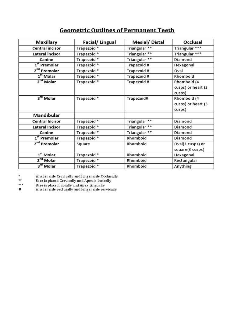Geometric Outlines of Teeth Shapes | PDF | Language Arts & Discipline