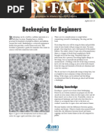 How To Bee by Bren Macdibble | PDF | Adjective