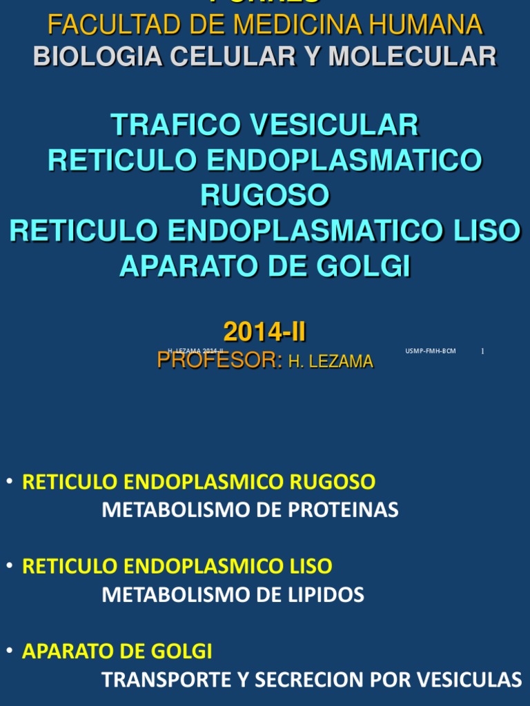 Tráfico Vesicular | PDF | Retículo endoplásmico | Citoplasma