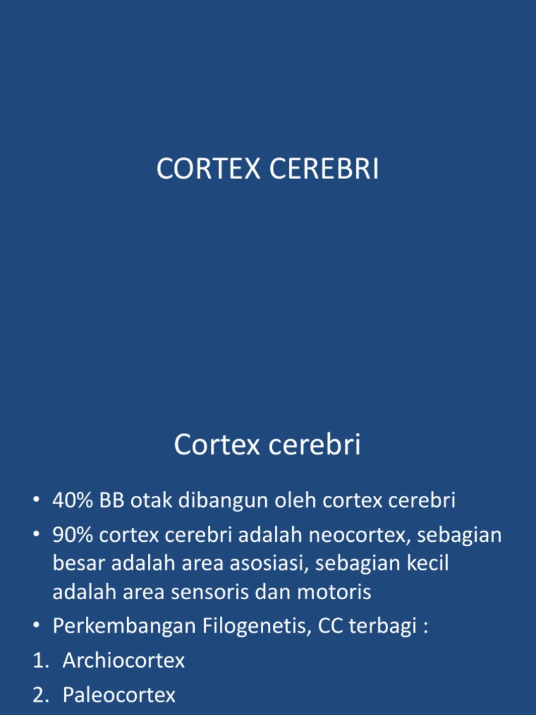 Anatomi Cortex Cerebri | PDF