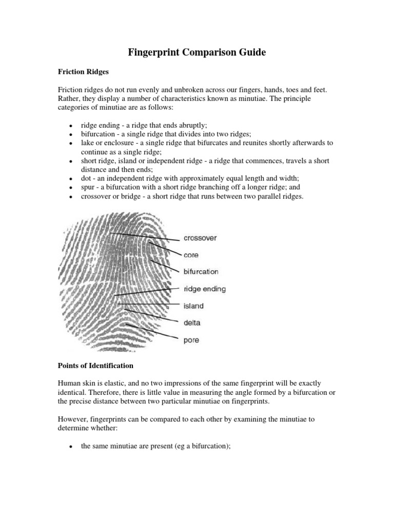 Fingerprints Comparison Guide | PDF | Fingerprint | Scientific Method