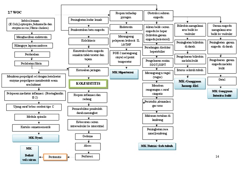 Woc Kolesistitis | PDF