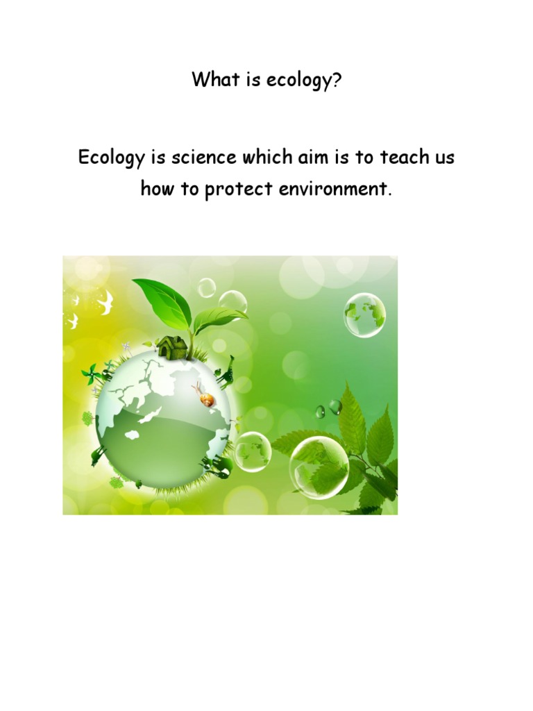 Understanding Ecology and Recycling | PDF