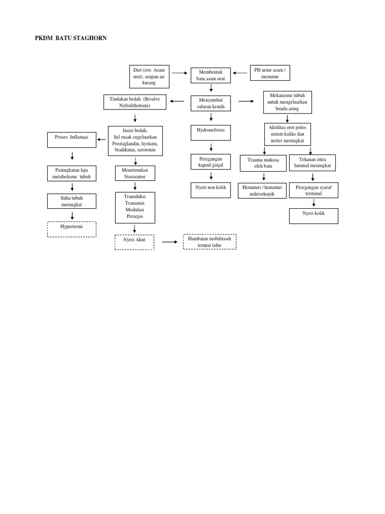 PKDM Batu Staghorn | PDF