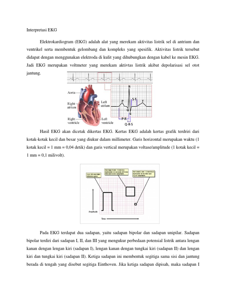 Cara Membaca EKG | PDF