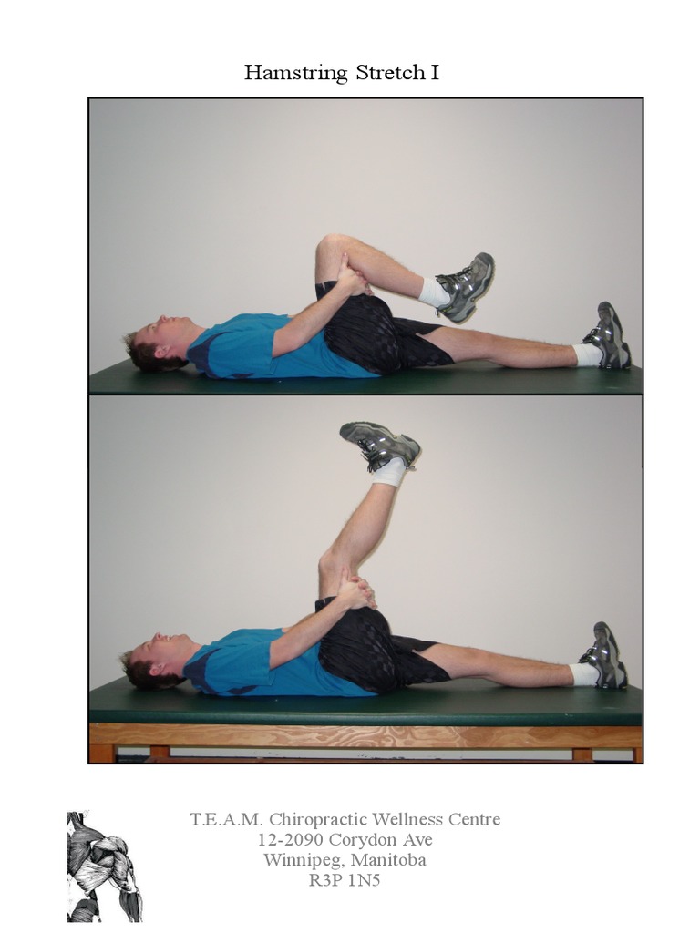 Hamstring Stretch I | PDF