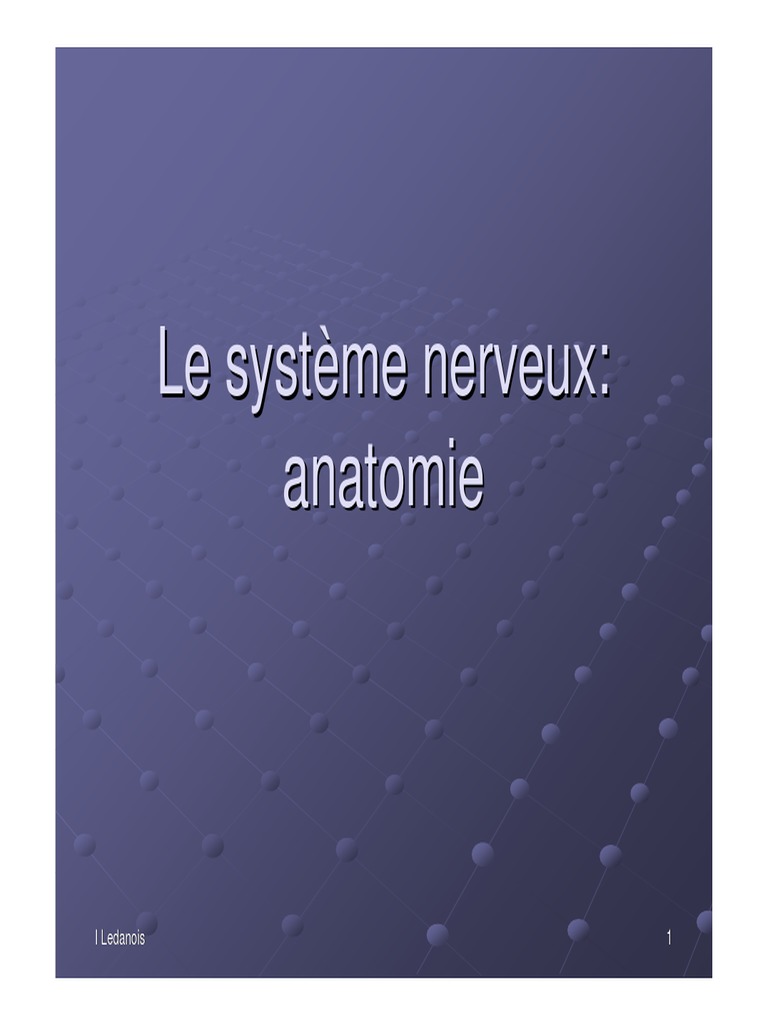 Anatomie Systeme Nerveux | PDF