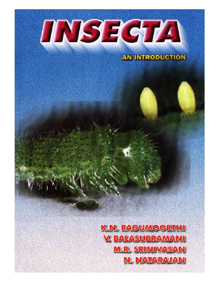 Protura Telsontails Proturans