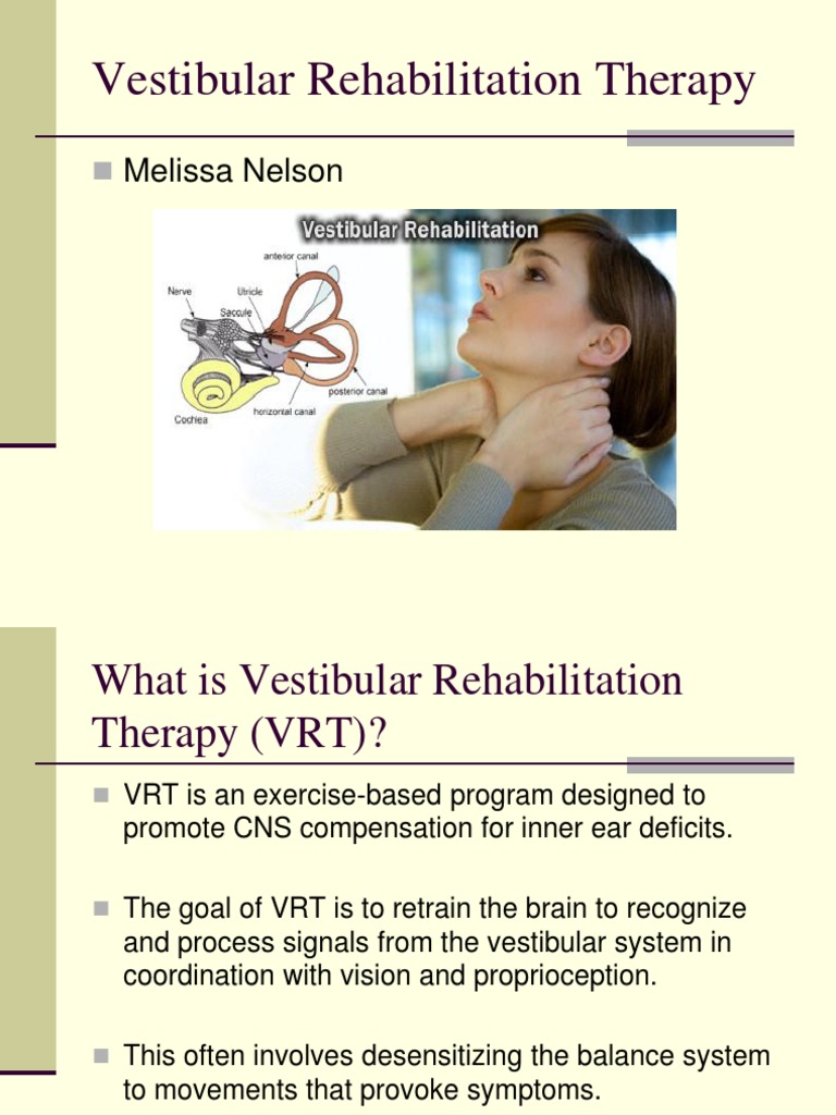 Vestibular System | PDF