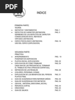 Siete Defectos de Carácter en AA | PDF | alcoholicos anonimos | Lujuria