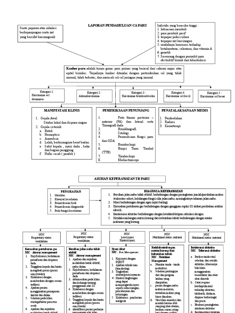 LP Ca Paru | PDF | Pengembangan Diri | Kesehatan Holistik