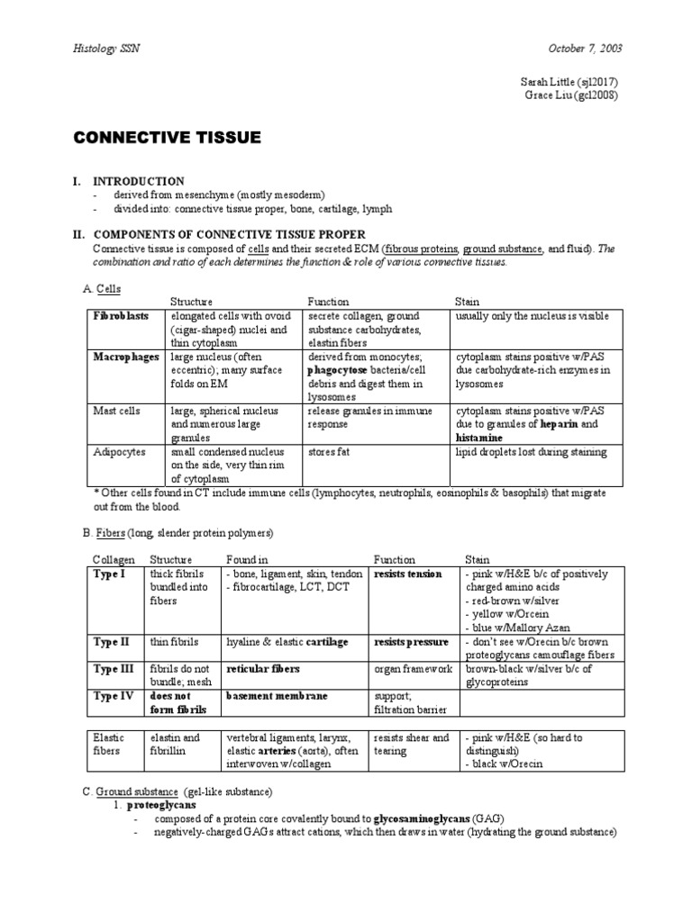 Connective Tissue | Connective Tissue | Tissue (Biology)