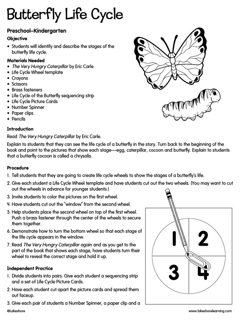 Butterfly Life Cycle Wheel
