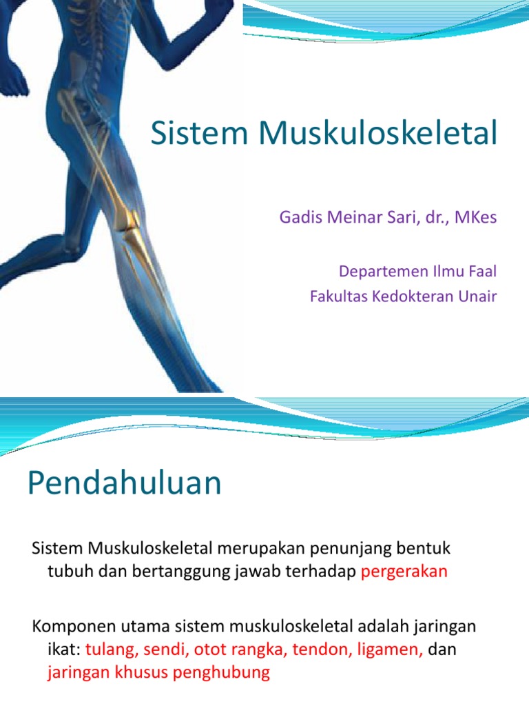 Sistem Muskuloskeletal.ppt