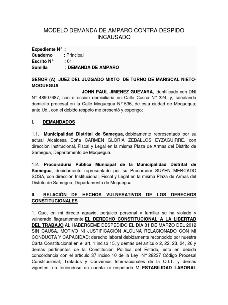 Modelo Demanda de Amparo | Descargar gratis PDF | Derecho laboral ...