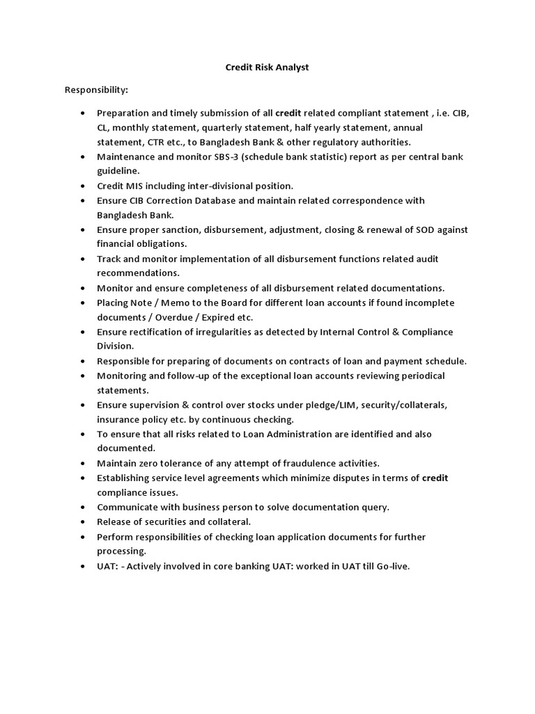 Credit Risk Analyst | PDF | Debt | Loans