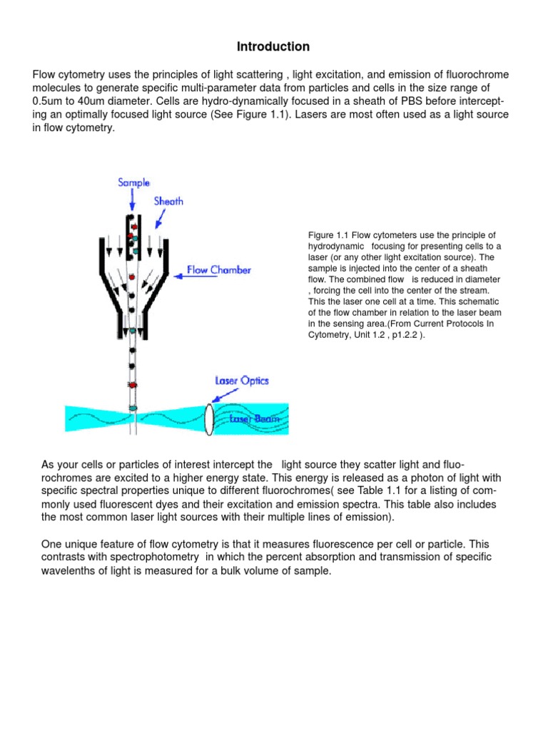 Flow Cytometry Basic PDF | PDF | Flow Cytometry | Fluorophore