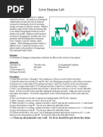 Liver Lab Report | PDF | Hydrogen Peroxide | Chemical Reactions