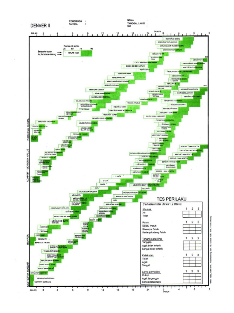 Lembar Depan DDST | PDF
