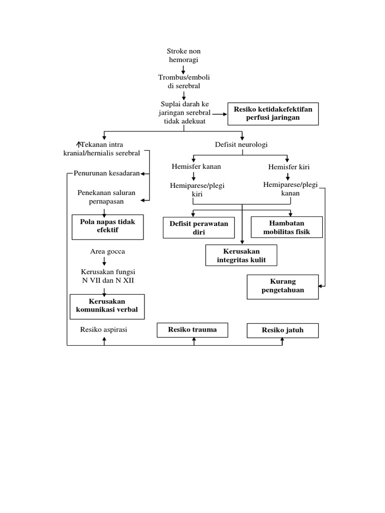 Pathway Stroke | PDF