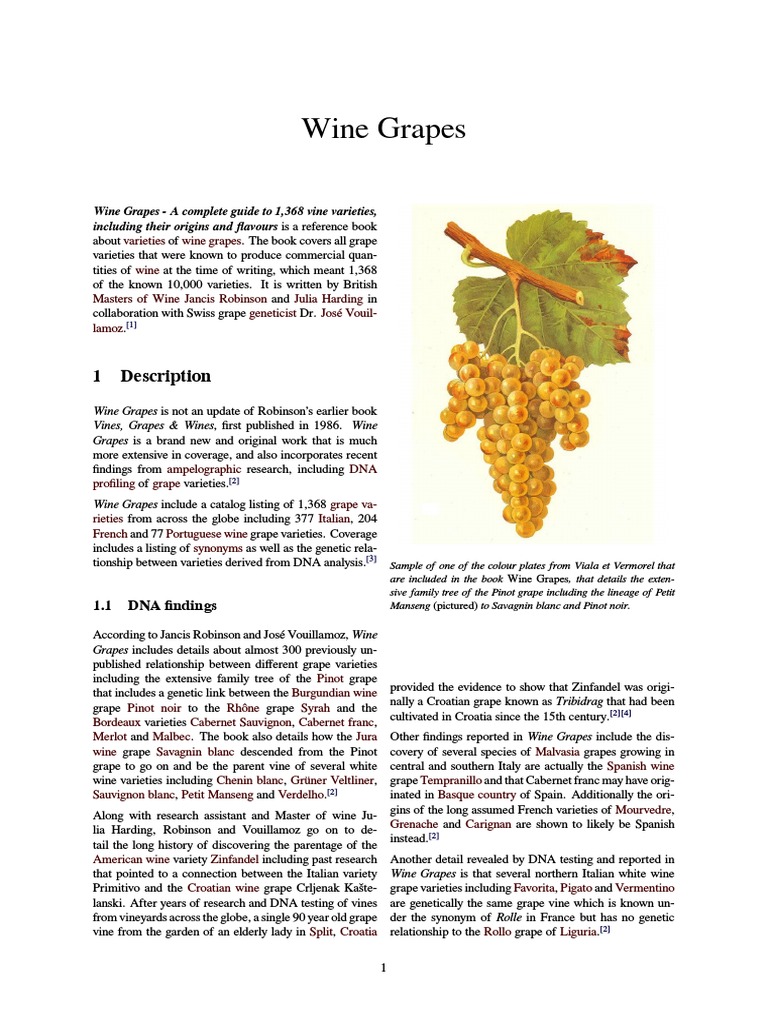 Wine Grapes | PDF | Grape | Alcoholic Drinks