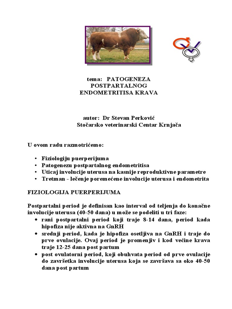 Patogeneza Postpartalnog Endometritisa Krava - DR Stevan Perkovic | PDF