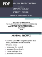 Thorax PA, AP Dan Lateral, RLD Dan LLD | PDF