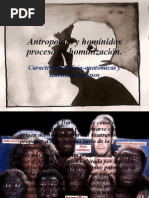 Dryopithecus | PDF | Hominidae | Homo Sapiens