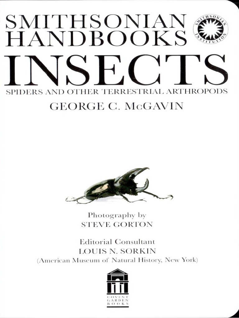 Insects - Spiders and Other Terrestrial Arthropods - Smithsonian ...