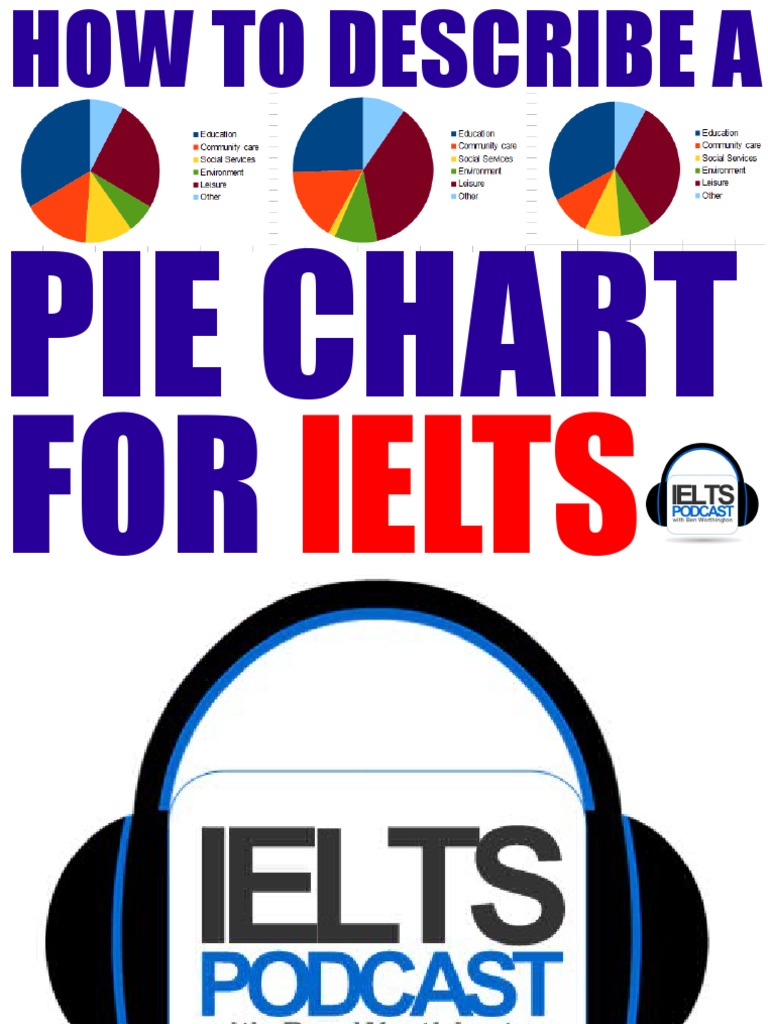 howto-describe-a-pie-chart-paragraph-business